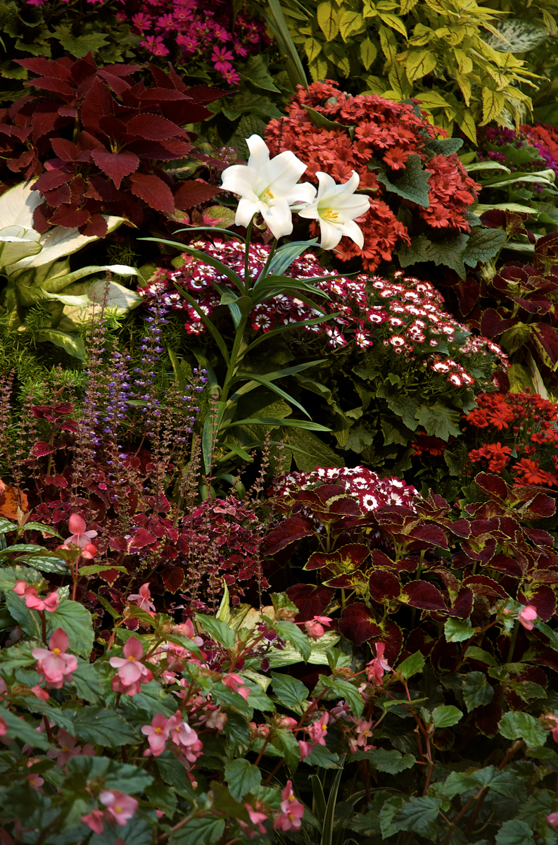 Victoria, BC … Butch Art Baby! – { go2jo.com }