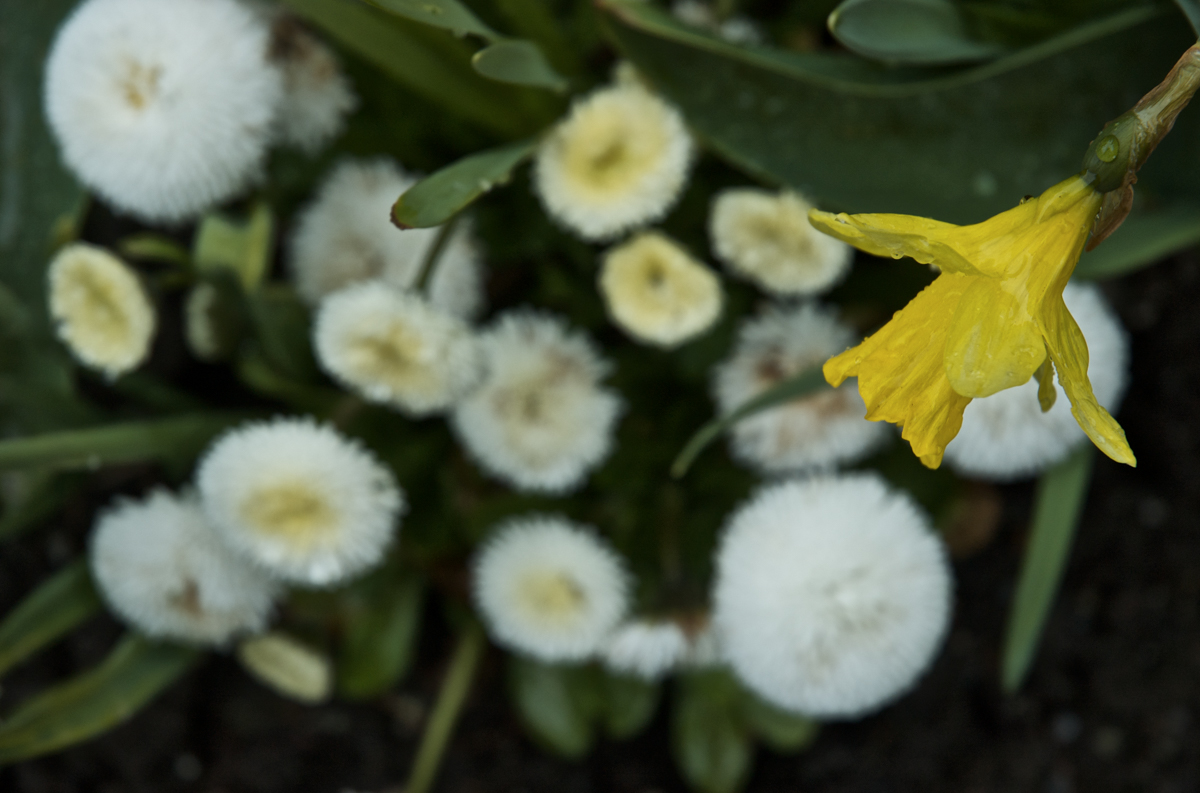 Victoria, BC … Butch Art Baby! – { go2jo.com }