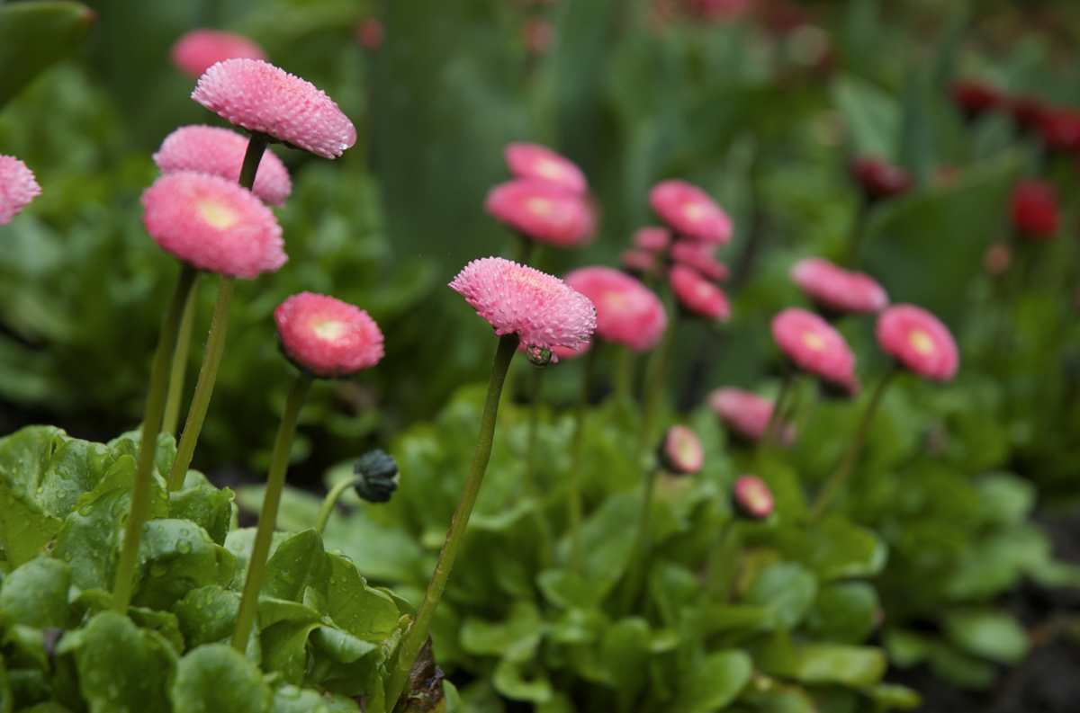 Victoria, BC … Butch Art Baby! – { go2jo.com }