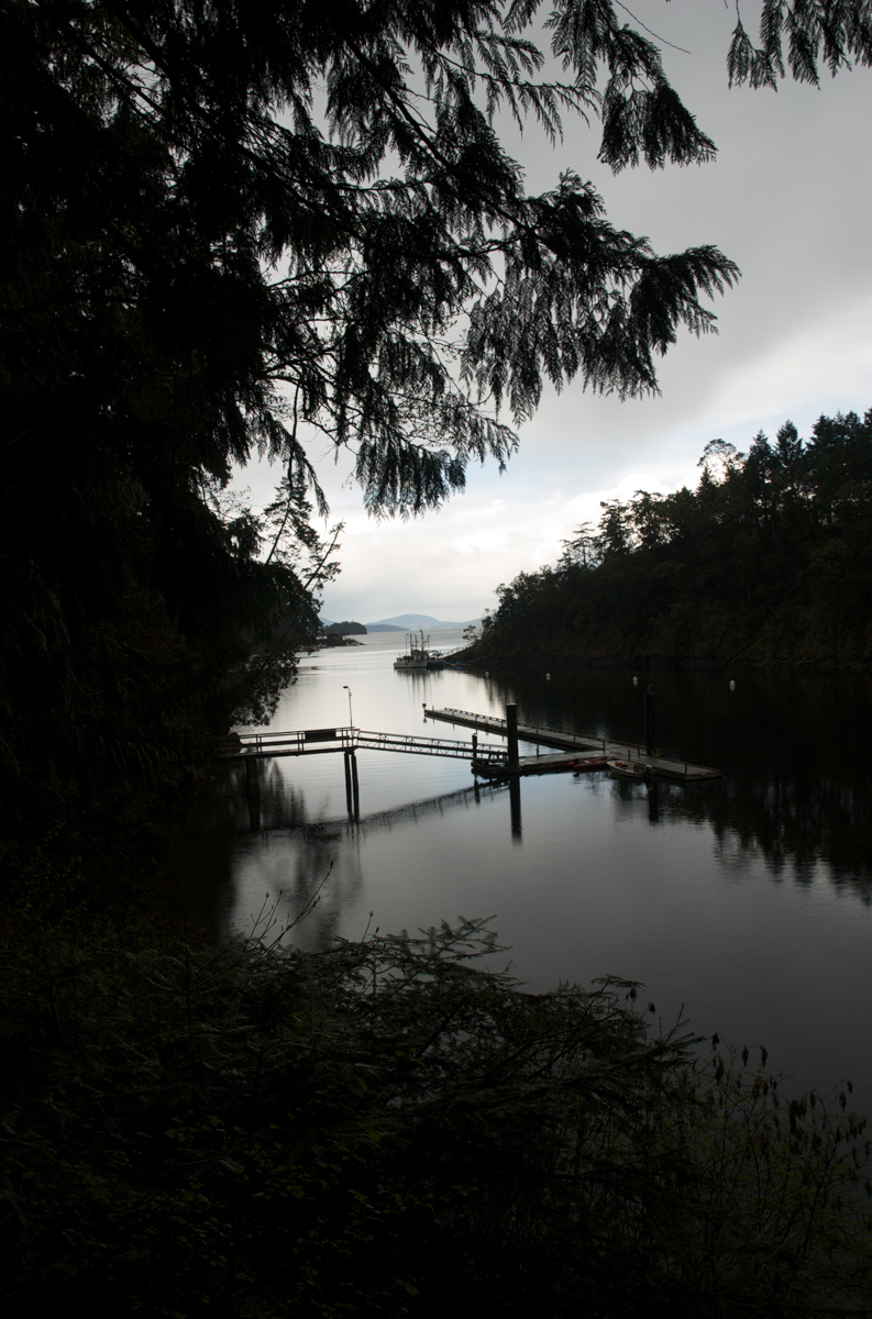 Victoria, BC … Butch Art Baby! – { go2jo.com }